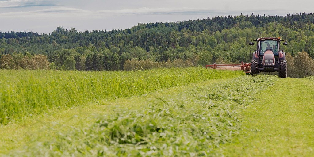 Formations – CRIFA