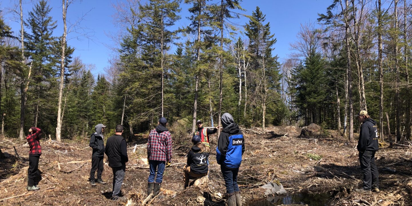 DEP Aménagement forêt - CRIFA - Centre formation Estrie
