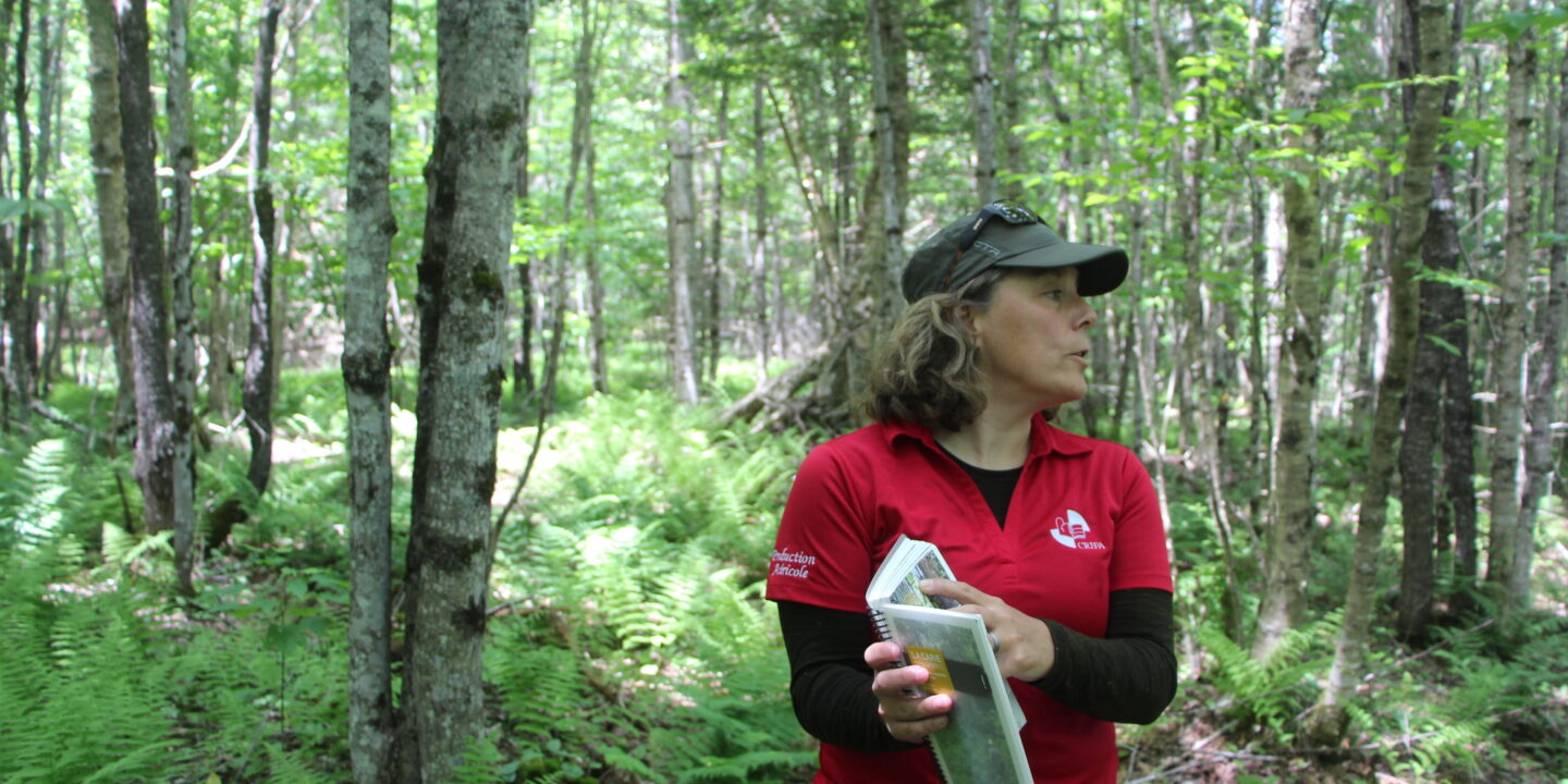 DEP Aménagement forêt - CRIFA - Centre formation Estrie