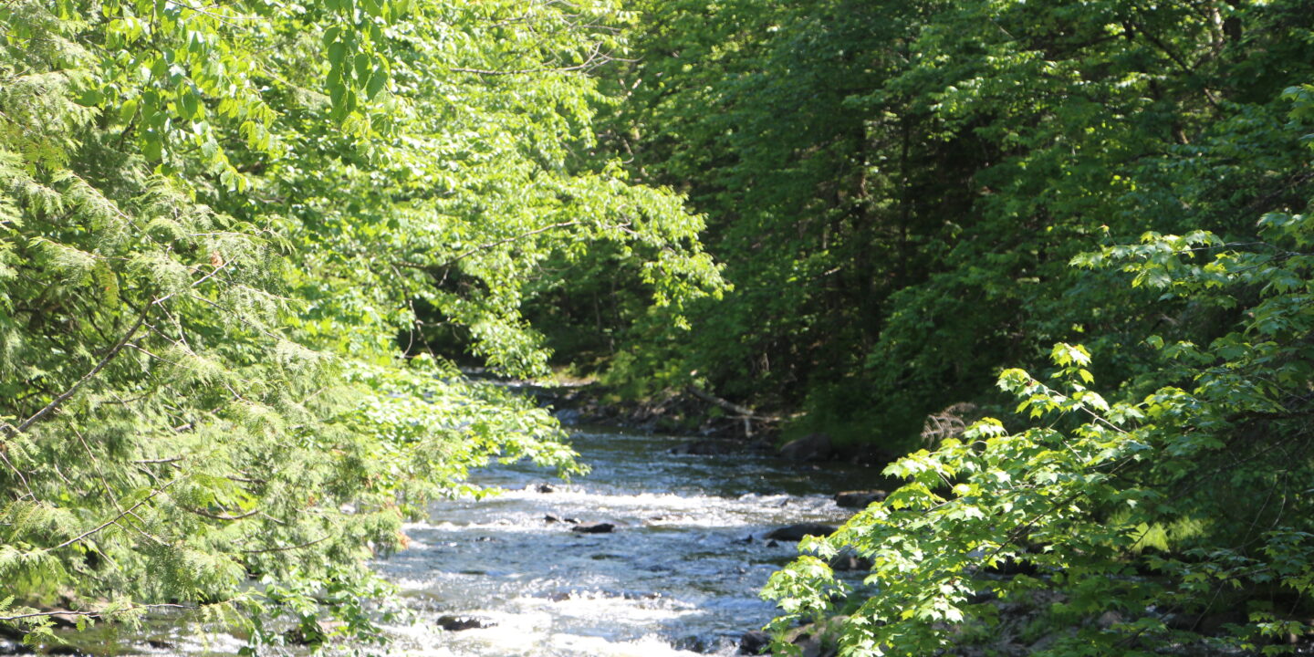 DEP Aménagement forêt - CRIFA - Centre formation Estrie